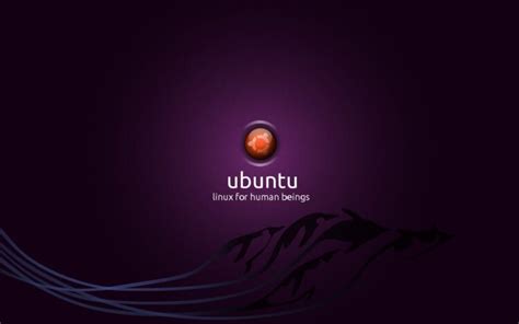 Basics Of Ubuntu Vps