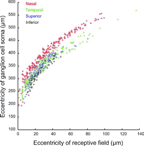 Relation Of The Eccentricity Of Individual Retinal Ganglion Cells To Download Scientific