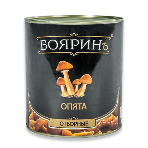 Консервация