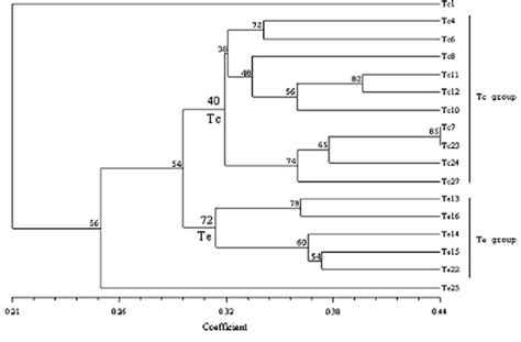 Upgma Dendrogram Based On Jaccards Similarity Coefficient Among Thymus Download Scientific