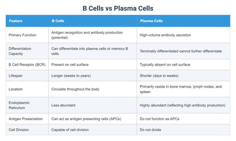 B Cells Vs Plasma Cells
