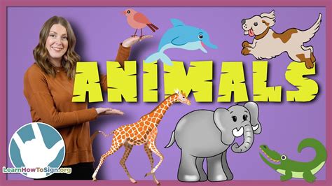 Zoo Animals In Sign Language At Ellis Shepherd Blog