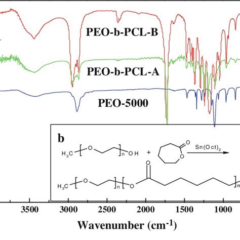 Pdf Large Pore Mesostructured Silicas Templated From Amphiphilic Diblock Copolymer Peo B Pcl