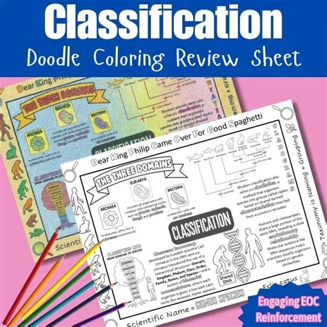 Classification Coloring Worksheet Domains Taxonomy And Cladograms