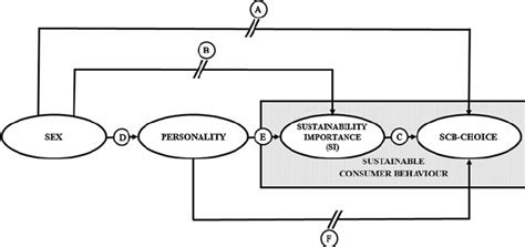 Conceptual Model — Sex Personality And Sustainable Consumer Behaviour Download Scientific