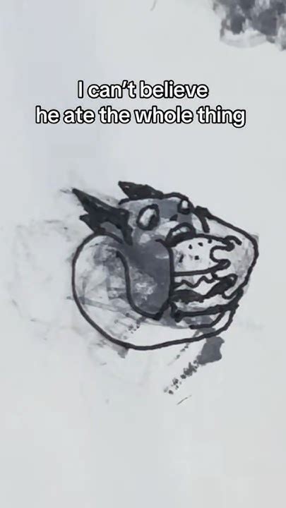 I Cant Believe He Ate The Whole Thing Youtube