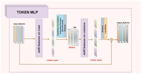 a lightweight deep learning approach for liver segmentation
