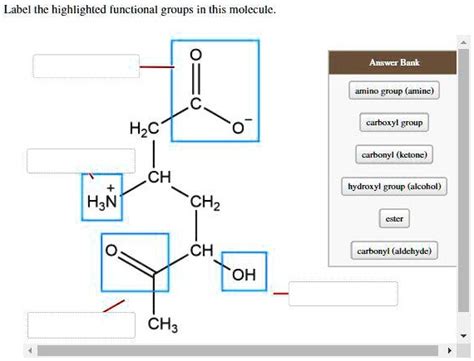 40 label the highlighted functional groups in this molecule