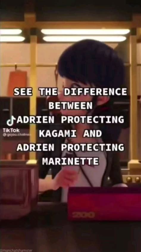 Cr Marichatshamster ♥️ Miraculous Ladybug Funny Miraculous Ladybug