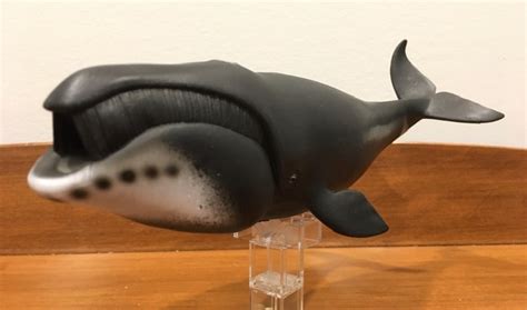 Bowhead Whale Sealife By Collecta Animal Toy Blog