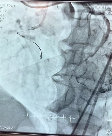 Pilot Guidion Saeed Amiripouya
