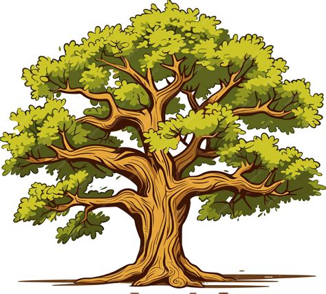 Premium Vector Big Old Oak Tree With Leaves Vector Illustration Design