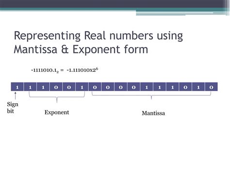 data representation class 11 computer pptx