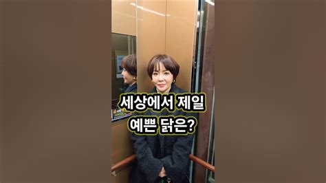 세상에서 제일 예쁜 닭은 재밌는영상 Funnyshorts 아재개그 웃긴영상 넌센스퀴즈 유머 Youtube