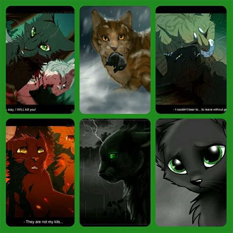 Hollyleaf Follow Me For I Can Get To 200 Warrior Cats Art Warrior