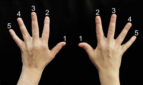 Mastering The Keys A Comprehensive Guide To Piano Fingering Chart Real Movie News