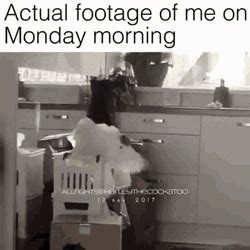 Monday Morning S Download And Share