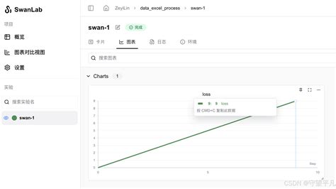swanlab最全使用教程：看这篇就够了 csdn博客