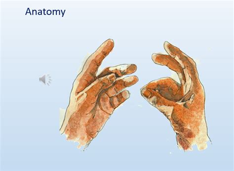 Upper Extremity Orthotics Webinar Allard Usa