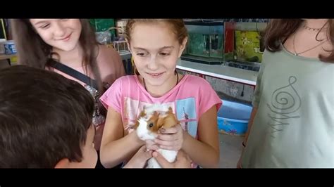Կենդանիների խնամքը ջերմոց֊լաբորատորիայում Youtube