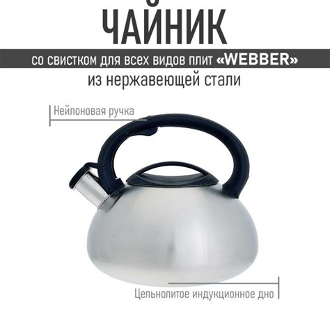 Чайник со свистком для газовой плиты из нержавеющей стали Webber ...