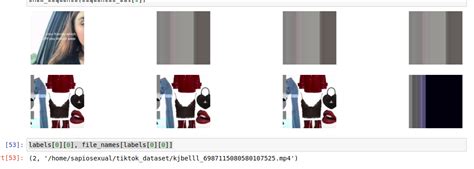 Video Reader Artifacts · Issue 4135 · Nvidiadali · Github
