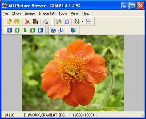 Ad Picture Viewer Download