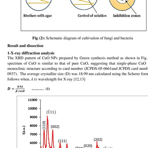 Xrd Patterns Of Cuo Thin Film Download Scientific Diagram