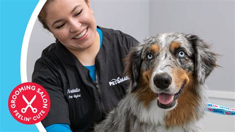 Petsmart Pet Grooming Locations San Juan Puerto Rico