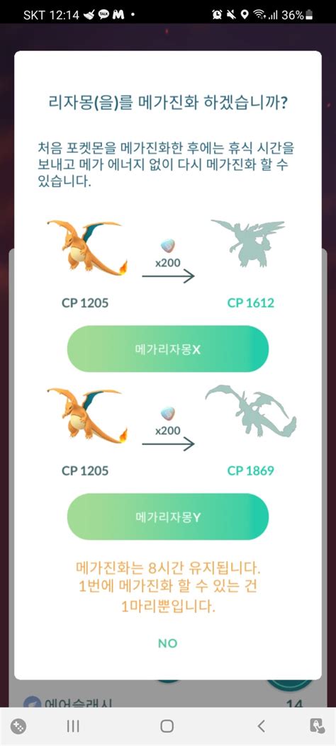 리자몽 메가진화 지식in