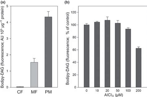 Phosphatidylcholine Hydrolysing Phospholipase C Pc Plc Activity In