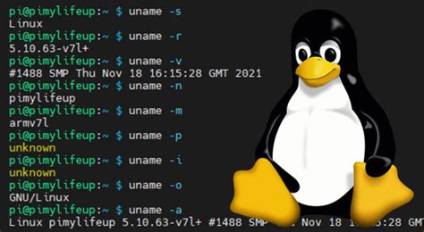 using the sleep command in linux pi my life up