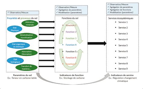 Liens Paramètres Du Sol Fonctions Du Sol Services écosystémiques Et Download Scientific