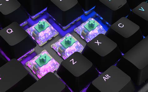 Revisiting Analog Keyboards Wooting Two He Review Techspot