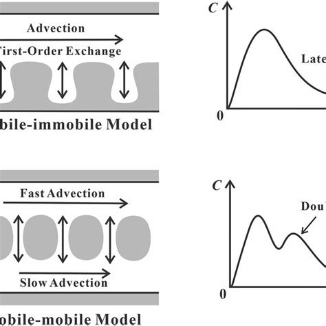 Porous Media Approaches As Conceptional Models For Dispersion A The Download Scientific