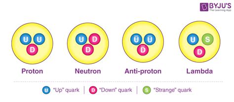 What Is Quark Definition Meaning Types Model Example