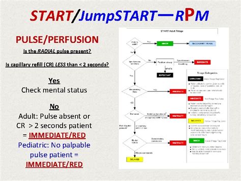 Maryland Triage System Tag Start And Jump Start