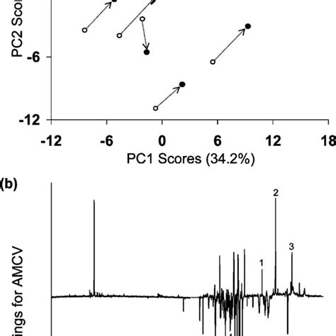 A Pca Scores Plot From Analysis Of Nmr Spectra Of Healthy Liver O