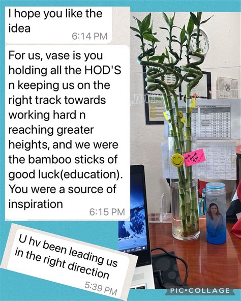 Adeeba Waseem On Linkedin Somedays Make You So Grateful 😅 My Hods Decided To Send A Beautiful T