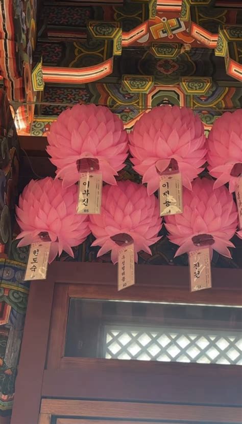 절에 연등 단 이부진 이재용 주식 에펨코리아