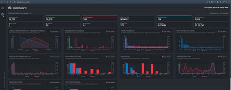 Goaccess A Real Time Dashboard For Nginx Proxy Manager