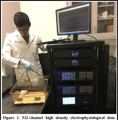 Figure 1 From A High Density Electrophysiological Data Analysis System