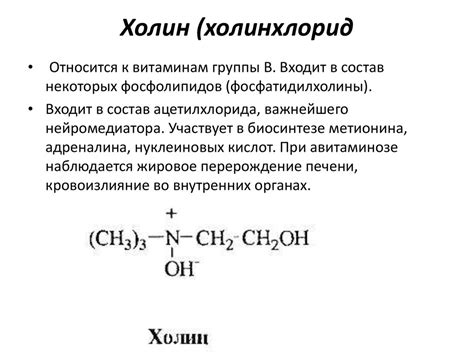Витамины. Классификация, источники, значение - презентация онлайн