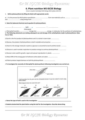 Plant Nutrition Igcse Worksheet Teaching Resources