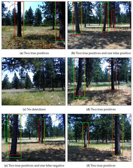 Real Time Computer Vision For Tree Stem Detection And Tracking