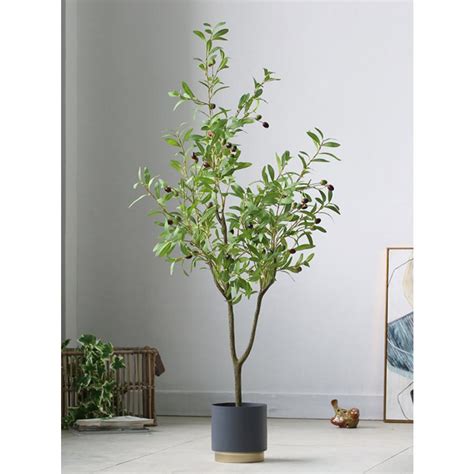 Depos 人工観葉植物 フェイクグリーン 観葉植物 造花 インテリア 大型 室内 おしゃれ オリーブ 142cm Olive Tree 大型