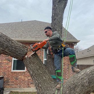 Dallas Tree Trimming And Removal Service Your Local Trusted Tree Service Professionals