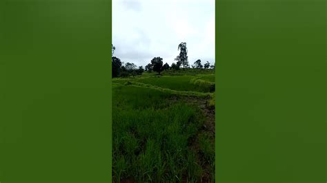 Beautiful Of Nature Bhat Sheti Youtube