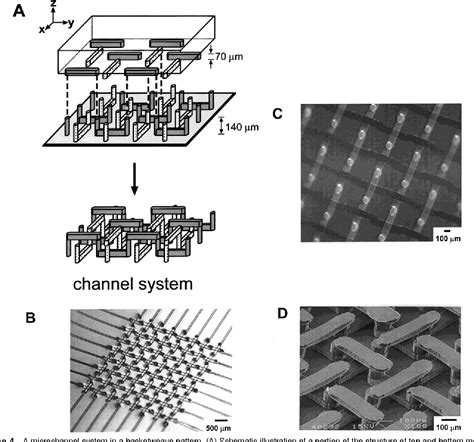Figure 4 From Fabrication Of Topologically Complex Three Dimensional