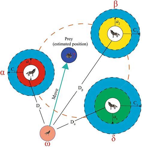 Position Updating Procedure Of ω Wolves Based On The Positions Of α β Download Scientific